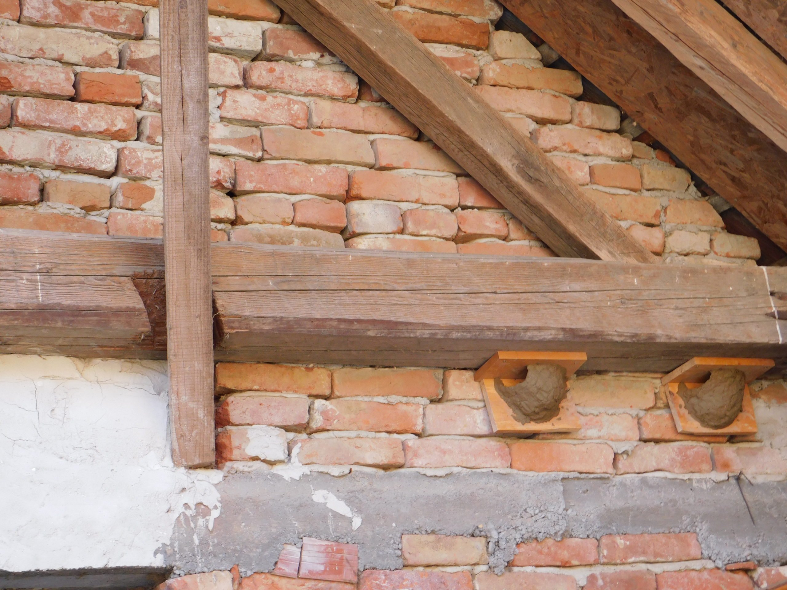 Fecskefészek építés házilag – Vidra Vízitúra