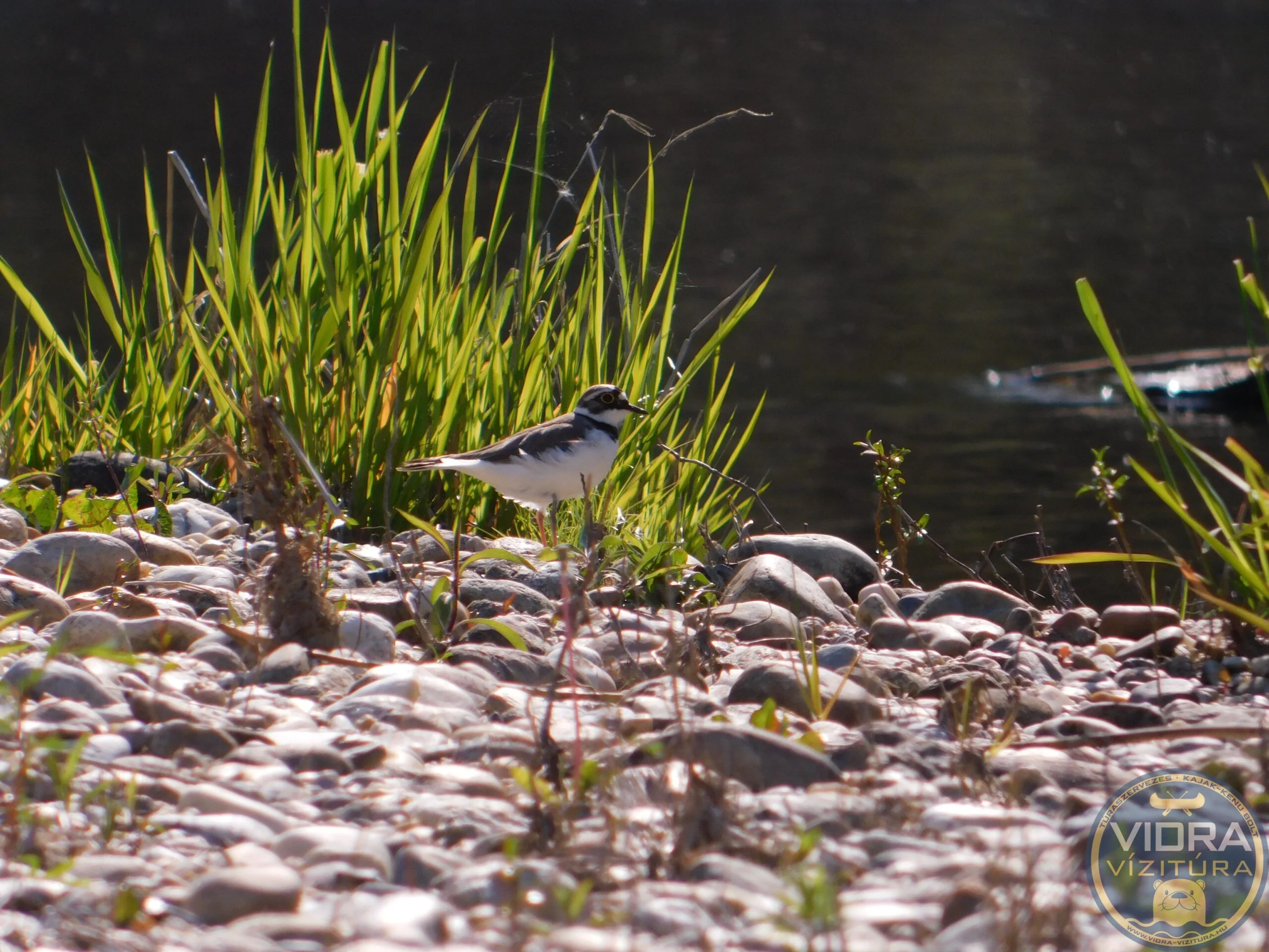 Vidra Vízitúra – … vízitúra szervezés, vadvíz, kajakoktatás, kajak-kenu ...